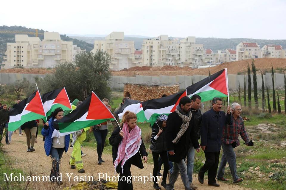 Non-violent Protests in Bil’in and Nil’in Met by Volence from Israeli ...